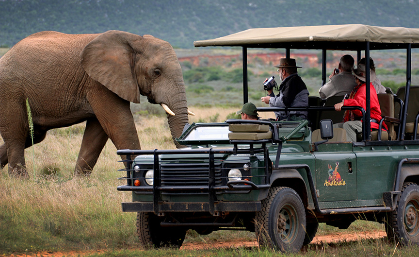 Game Drive